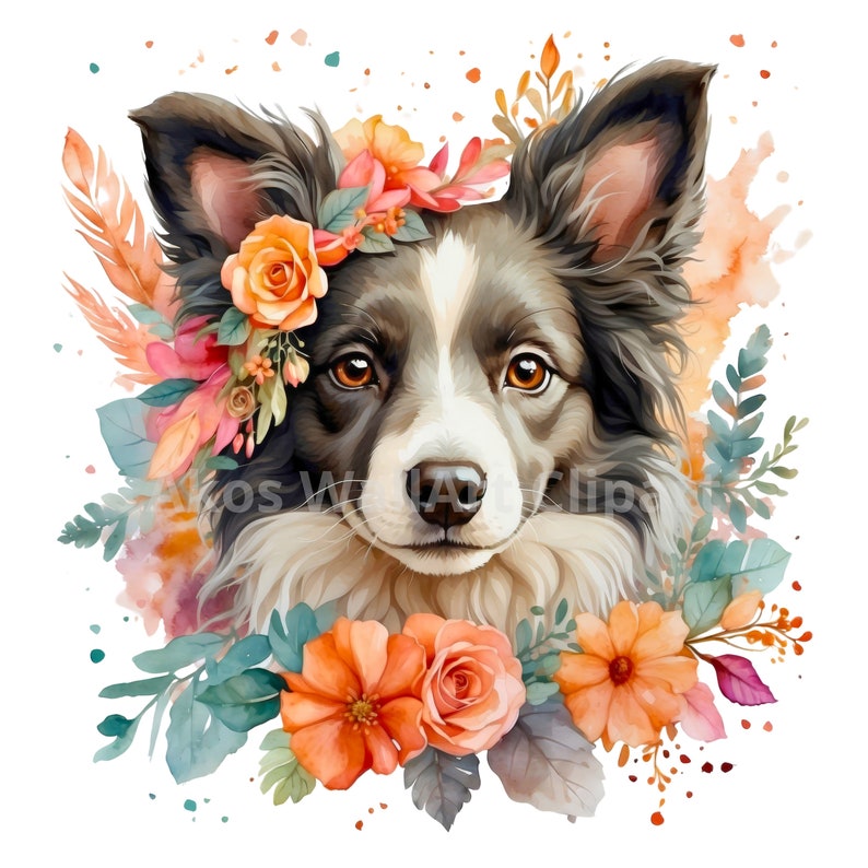 Border Collie Watercolor Printable Clipart, 10 High Quality Jpegs ...