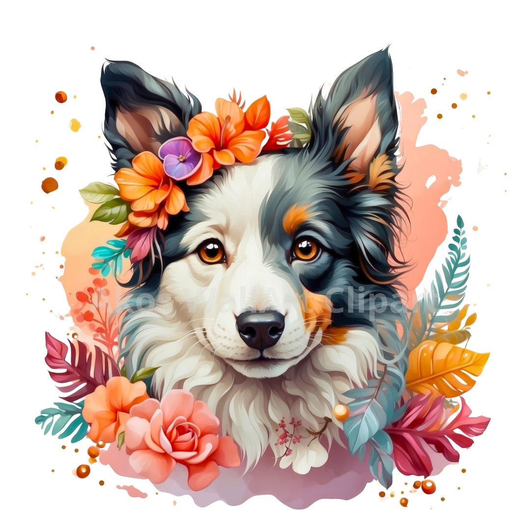 Border Collie Watercolor Printable Clipart, 10 High Quality Jpegs ...