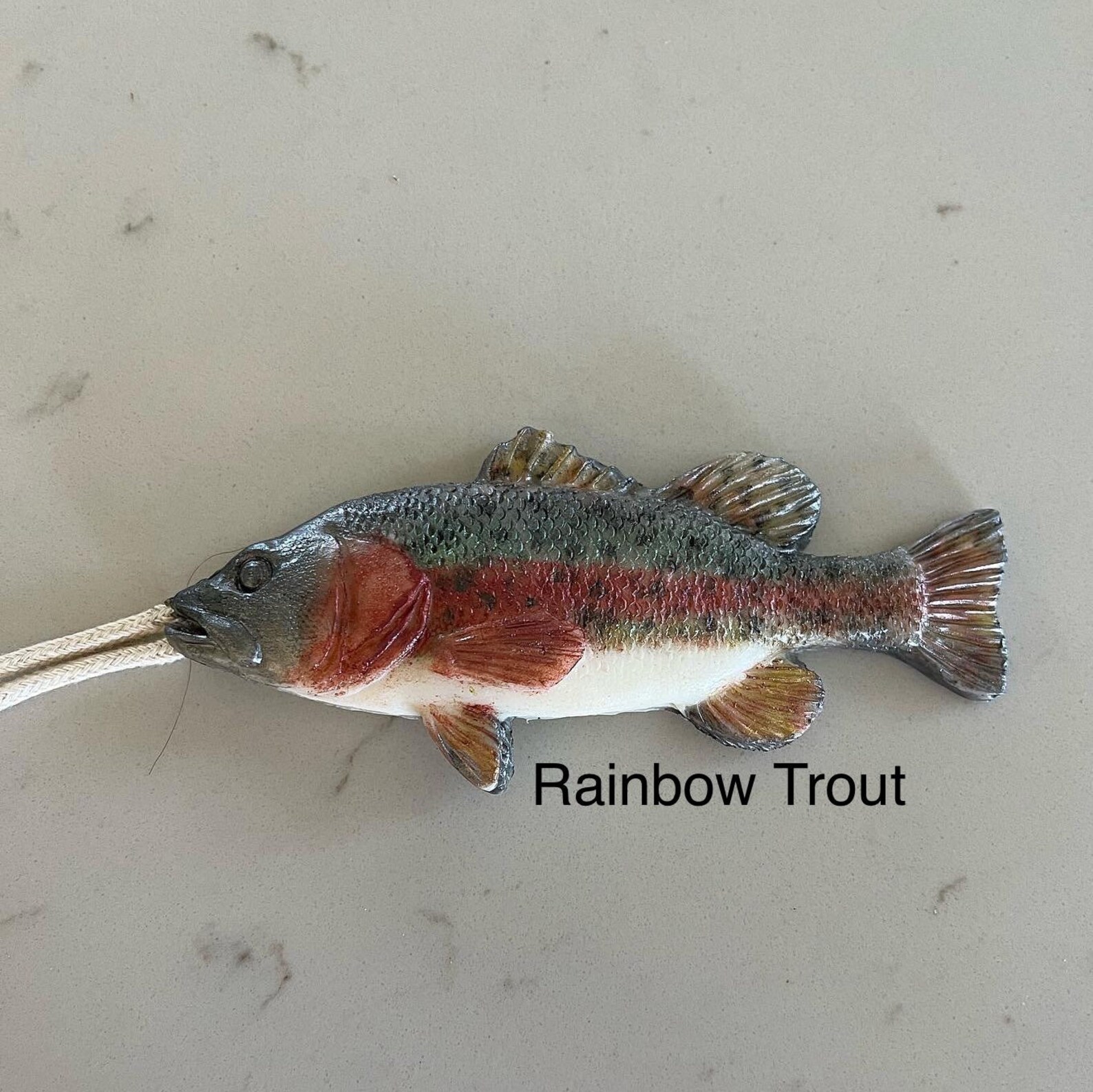 Fish Soap on a Rope Realistic Hand Painted Fun Gift for - Etsy