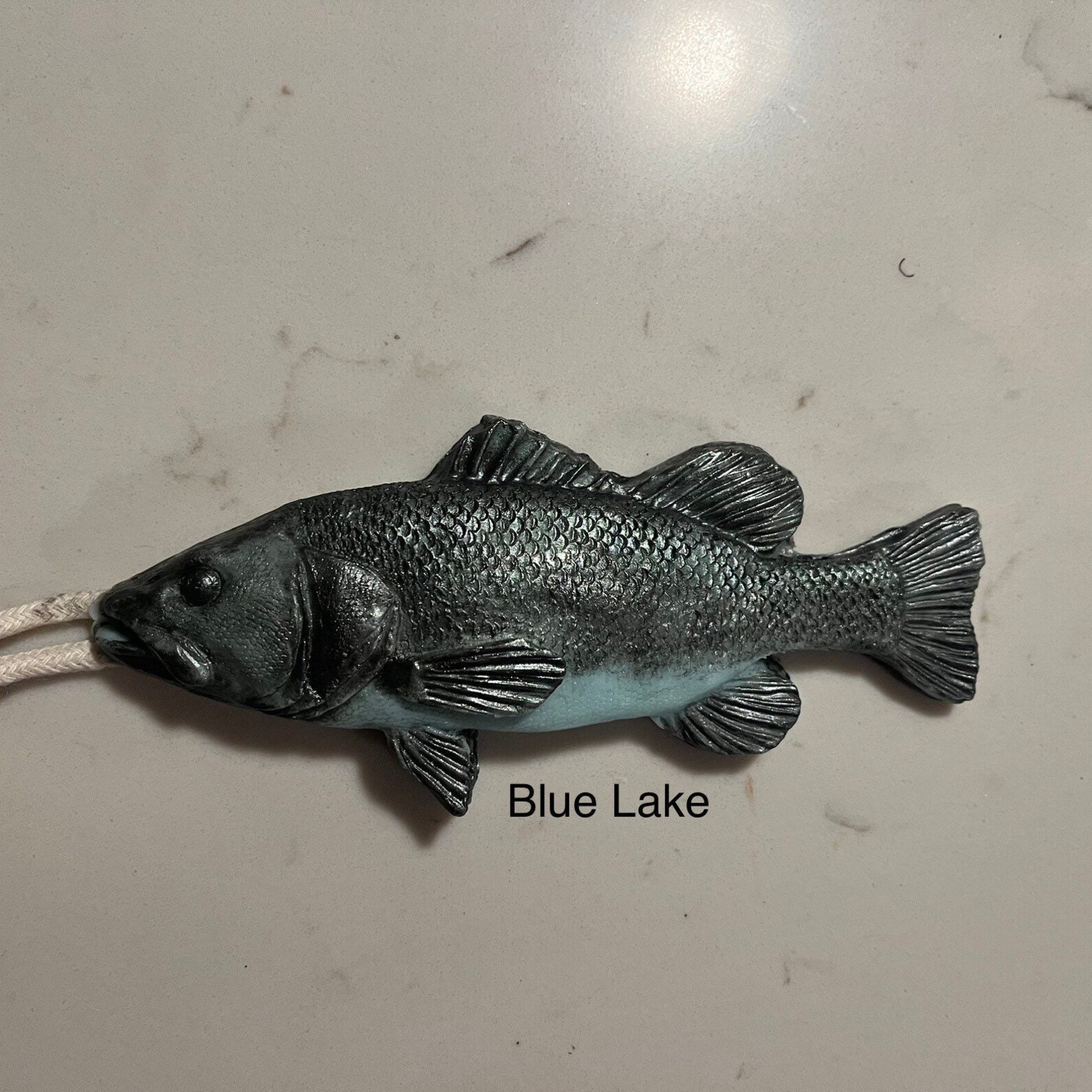 Fish Soap on a Rope Realistic Hand Painted Fun Gift for - Etsy