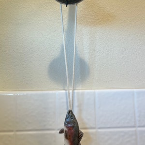 Fish Soap on a Rope Realistic Hand Painted Choose Type of Fish - Etsy