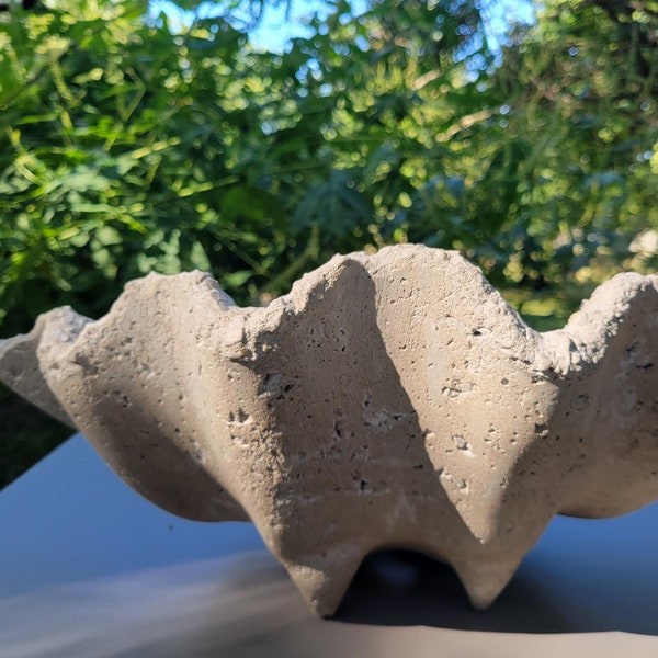 Clam Shell Planter - Etsy