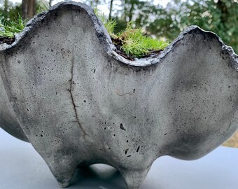 Large Clamshell Planter - Etsy