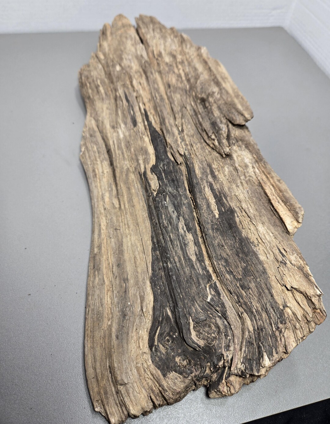 Large Driftwood, Natural Aquarium Wood or Terrarium Decor 22" - Etsy