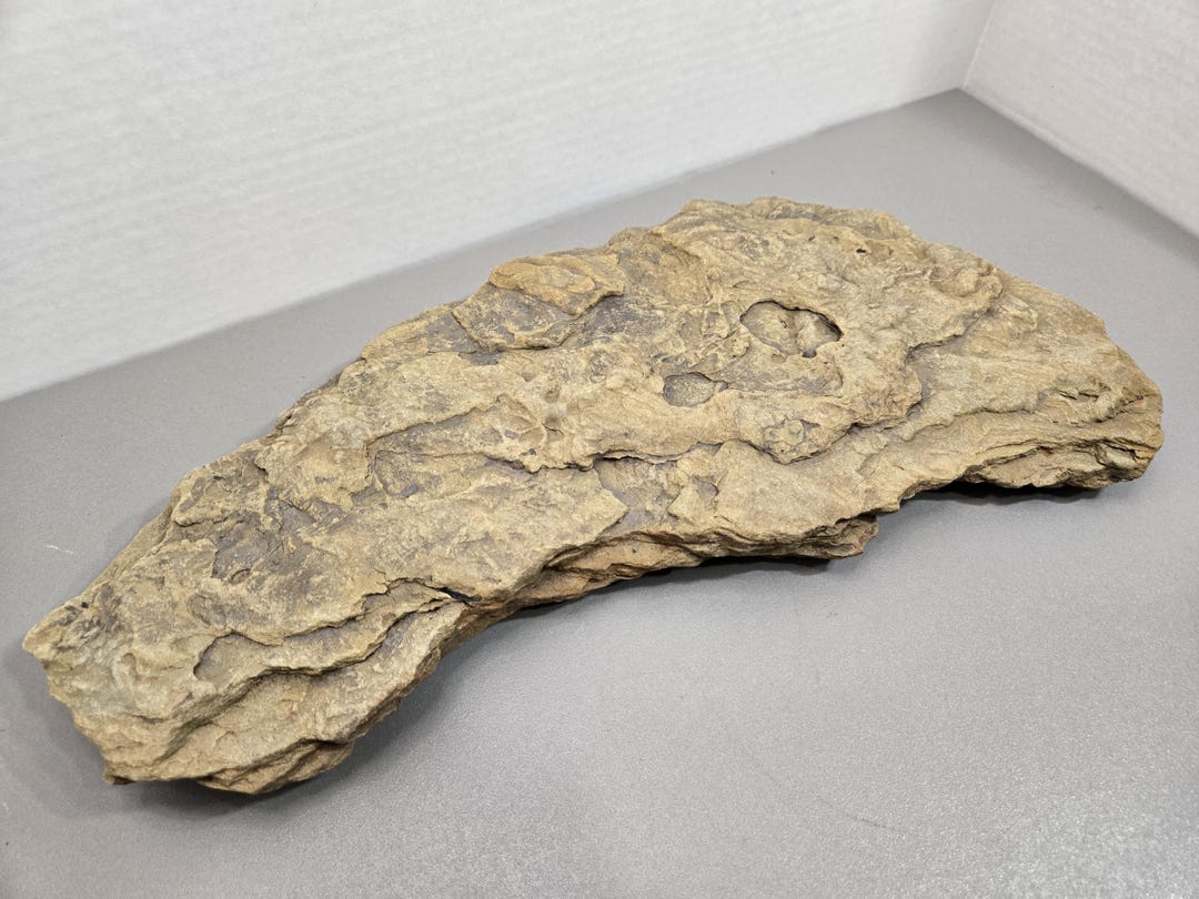 XL Basking Rock, Wide and Flat River Rock 16” - Etsy