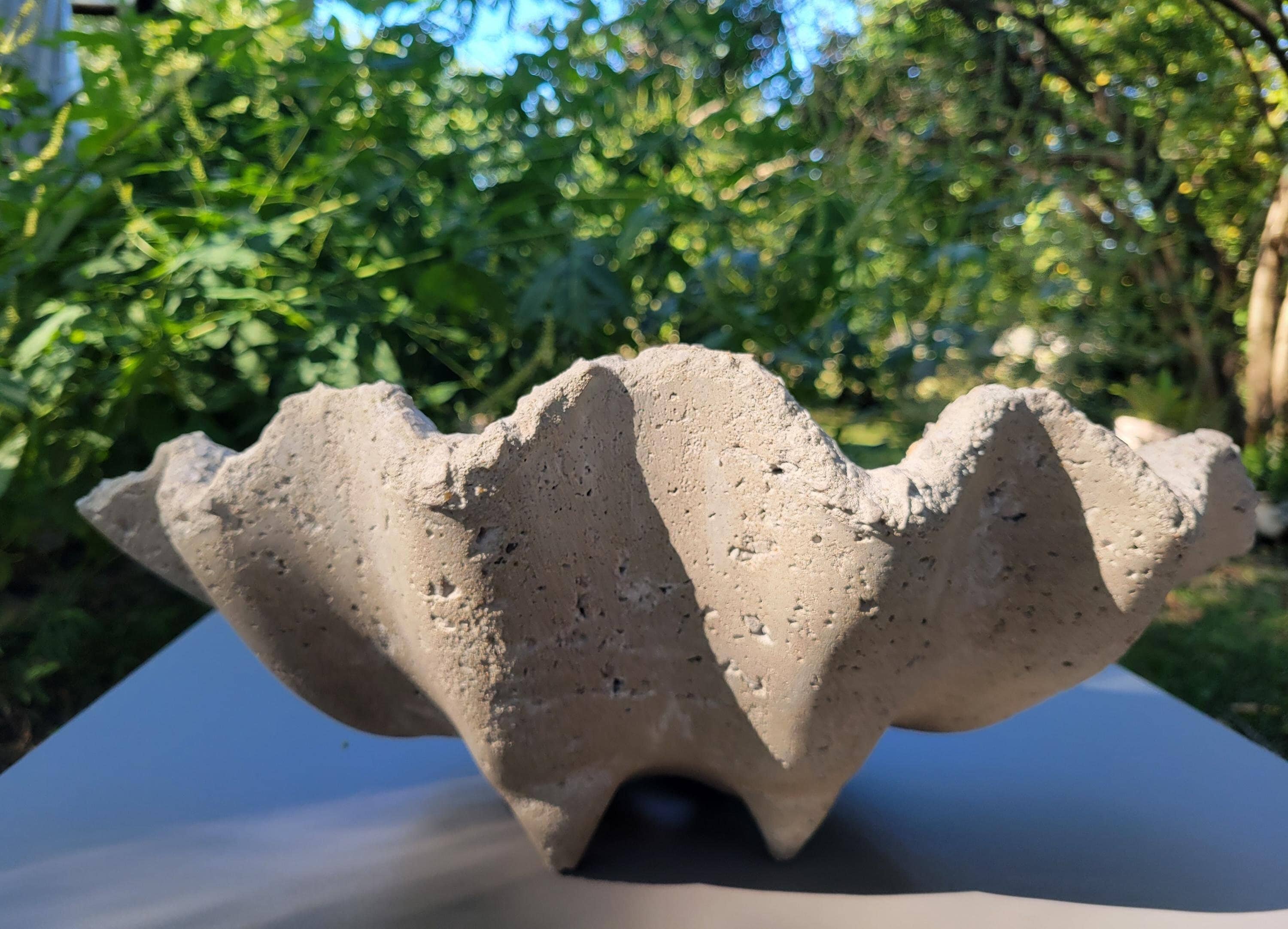 Concrete Seashell Planter, Large Handmade Clamshell Bowl - Etsy