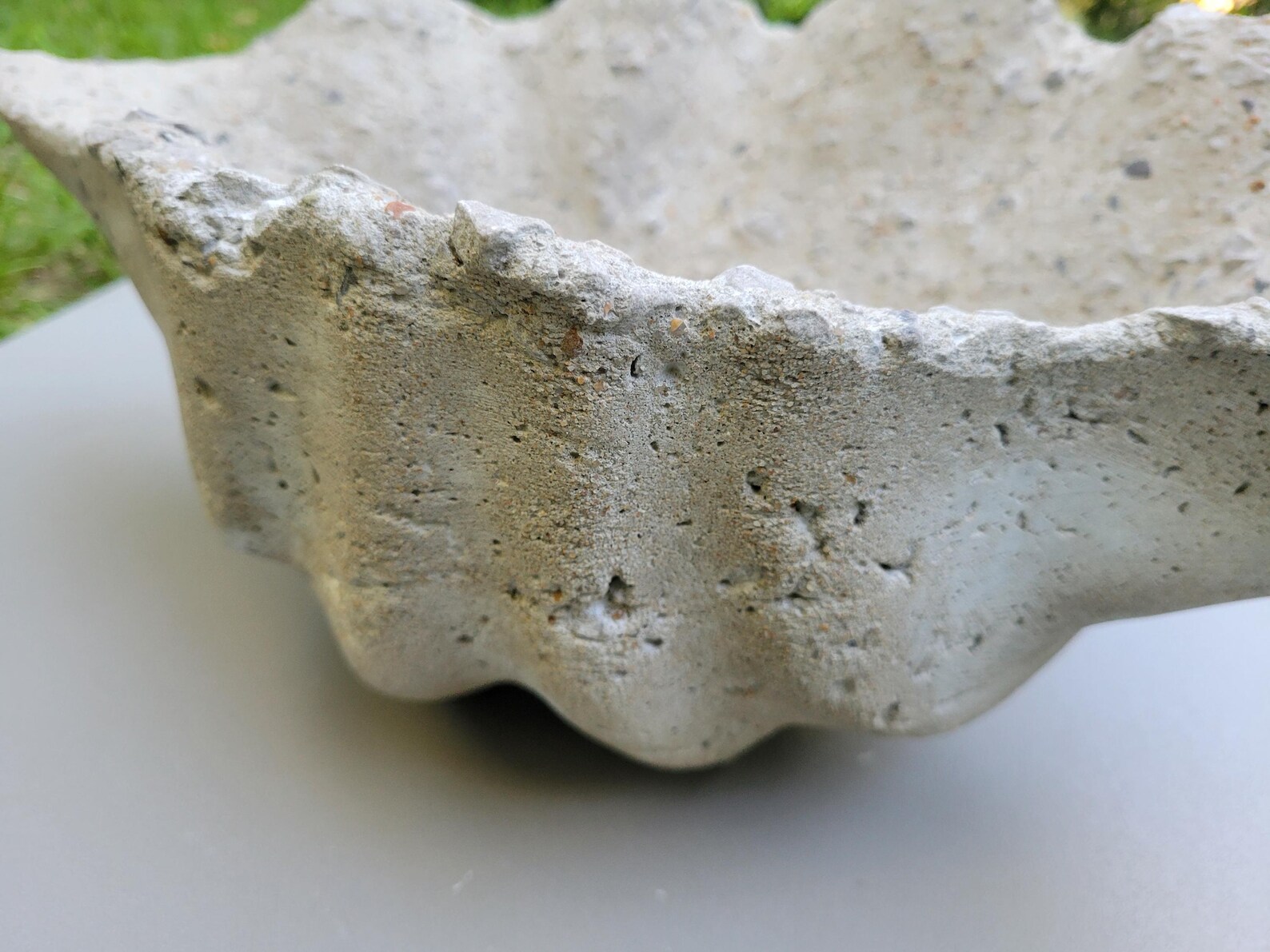 Concrete Seashell Planter, Large Handmade Clamshell Bowl - Etsy
