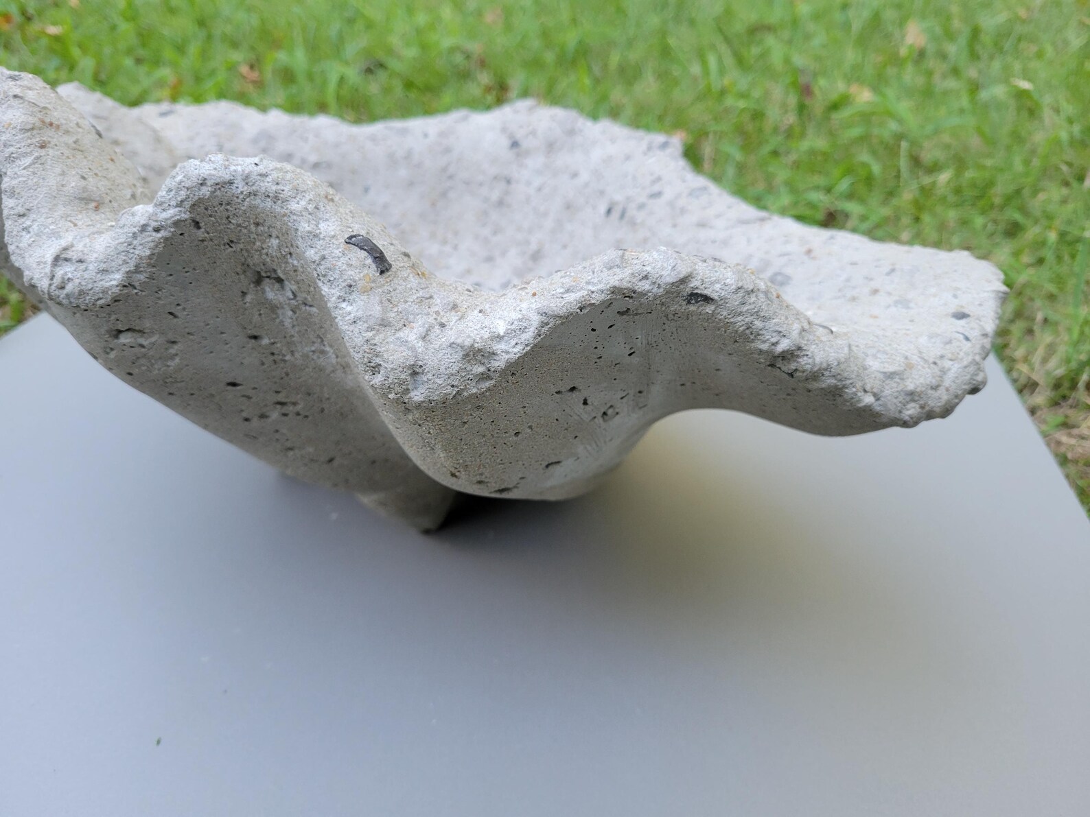 Concrete Seashell Planter, Large Handmade Clamshell Bowl - Etsy