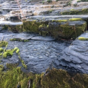 Black Shale River Rocks Natural Terrarium Decor Aquarium Rocks - Etsy