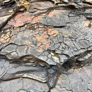 Black Shale River Rocks Natural Terrarium Decor Aquarium Rocks - Etsy