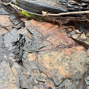 Black Shale River Rocks Natural Terrarium Decor Aquarium Rocks - Etsy