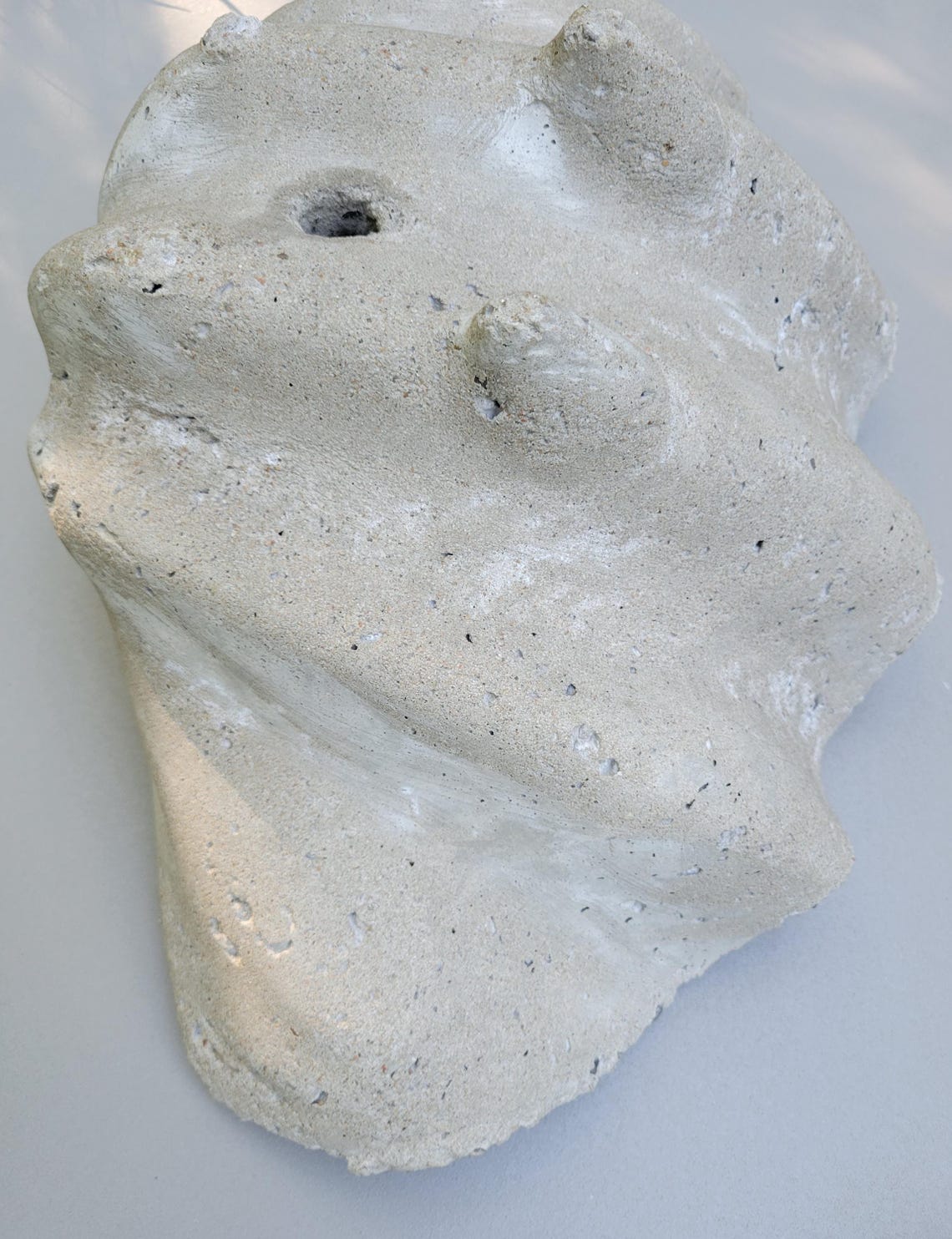 Concrete Seashell Planter, Large Handmade Clamshell Bowl - Etsy