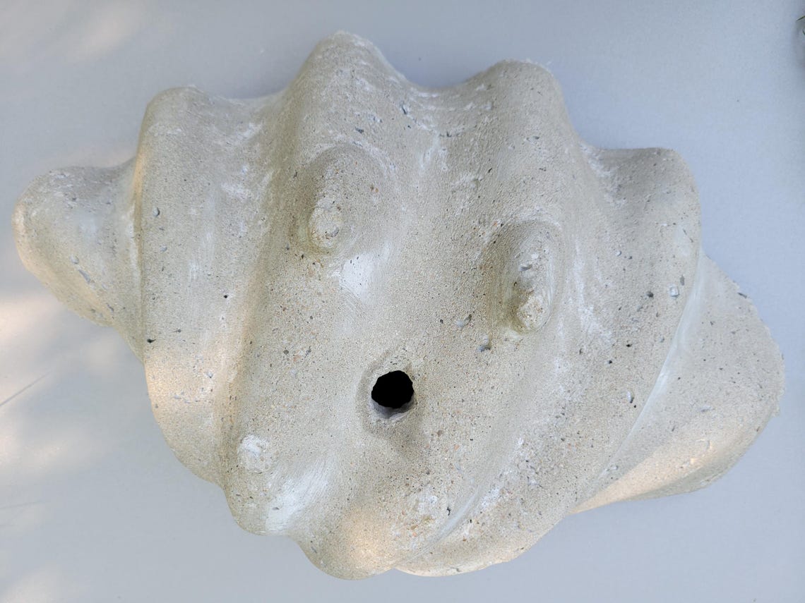 Concrete Seashell Planter, Large Handmade Clamshell Bowl - Etsy
