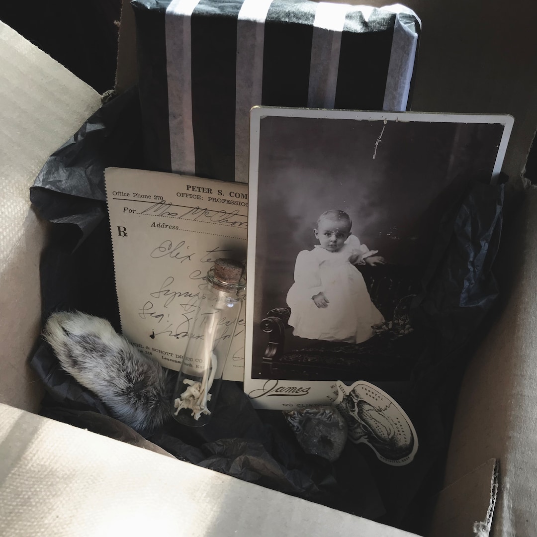 Oddity Mystery Box Blind Date With a Book Horror Spooky Gifts Curiosity ...