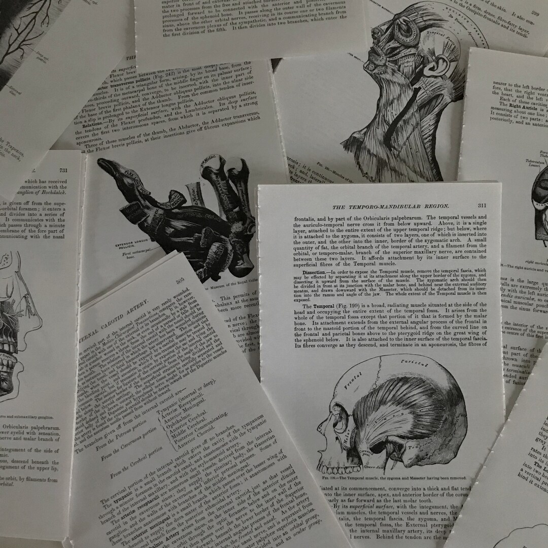 Vintage Gray's Anatomy Illustrations | Medical Book Pages | Medical ...