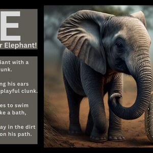 ABC Book of Rhymes | Fun Engaging Educational Alphabet Book for Early ...