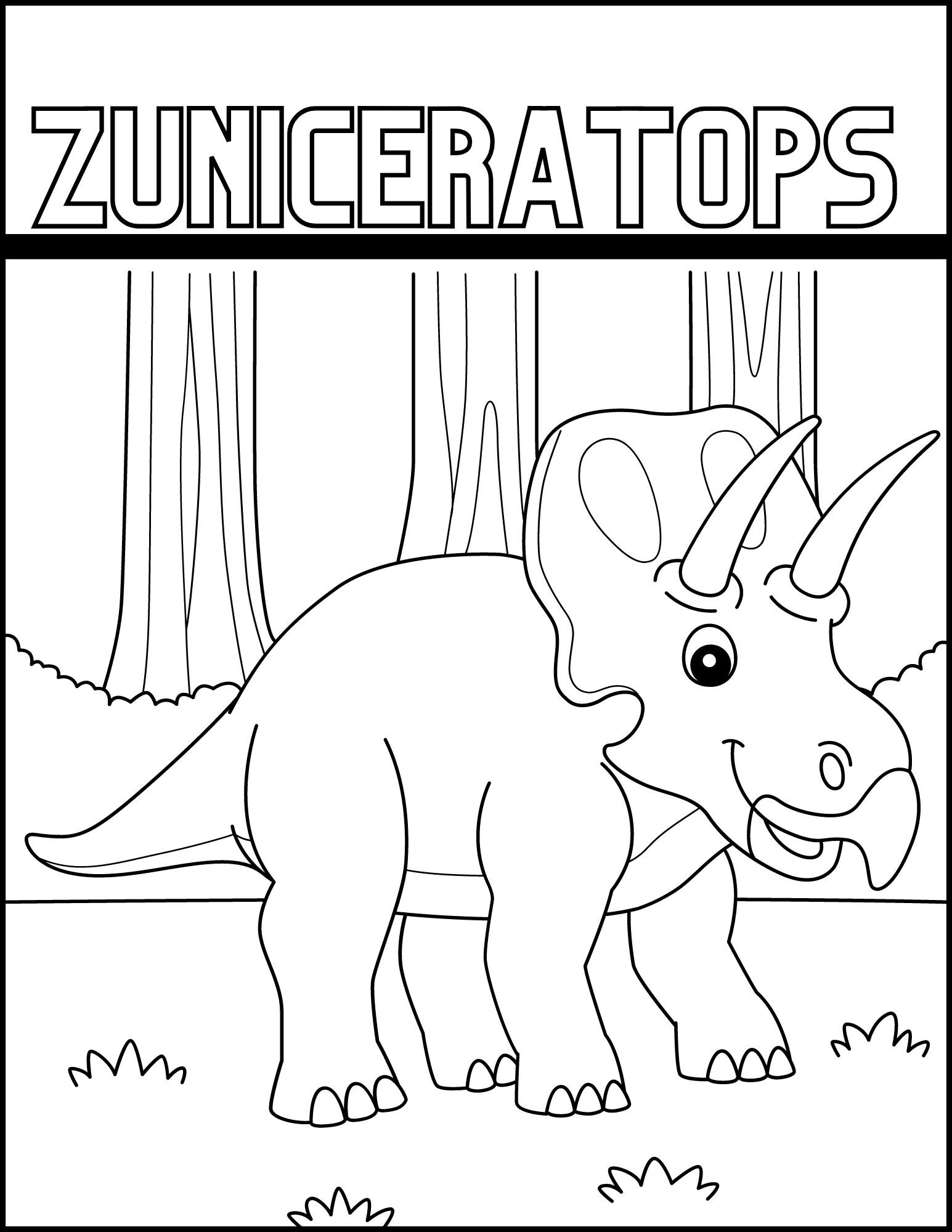 40 Dinosaur Coloring Pages |book | Kids Ages 4,5,6,7,8,9,10 | Fun ...