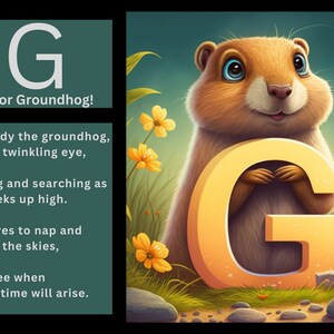 ABC Book of Rhymes | Fun Engaging Educational Alphabet Book for Early ...