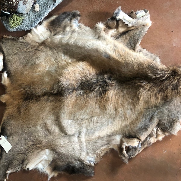 Moose Hide - Etsy