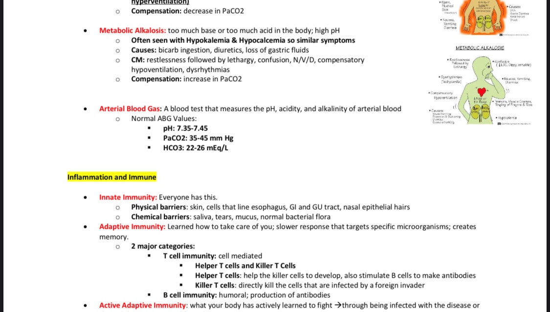 Nursing School Pathophysiology Study Guide - Etsy