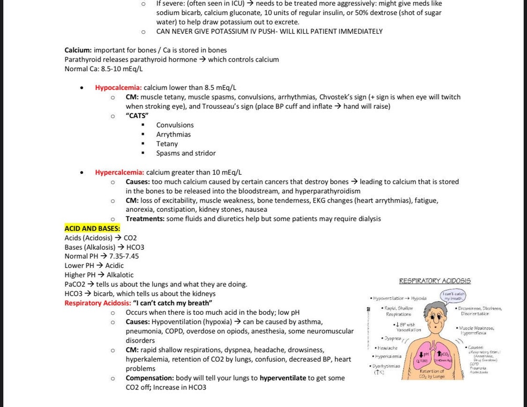 Nursing School Pathophysiology Study Guide - Etsy