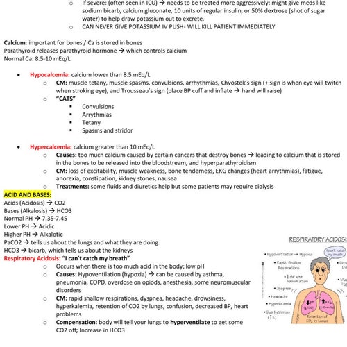 Pathophysiology Study Guide Bundle 185 Pages Digital - Etsy