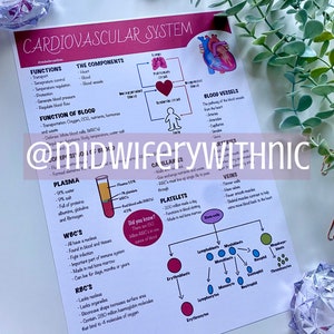 Cardiovascular System Posters, Anatomy Posters, Student Revision - Etsy UK