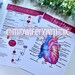 Digital Download: Cardiovascular System Posters - Etsy