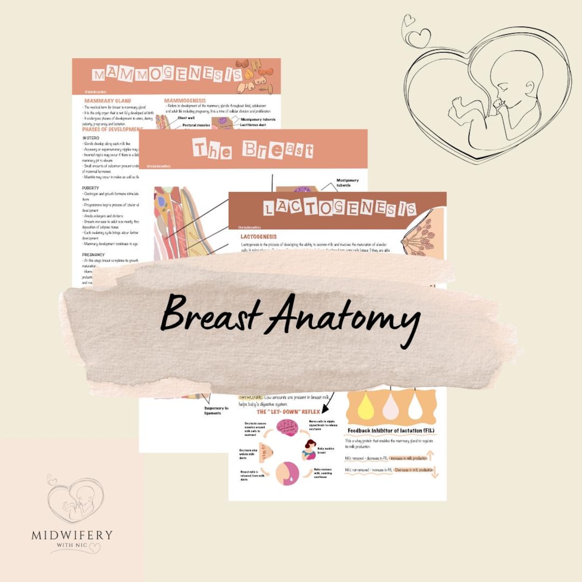 Digital Download: Breast Anatomy and Physiology Posters - Etsy