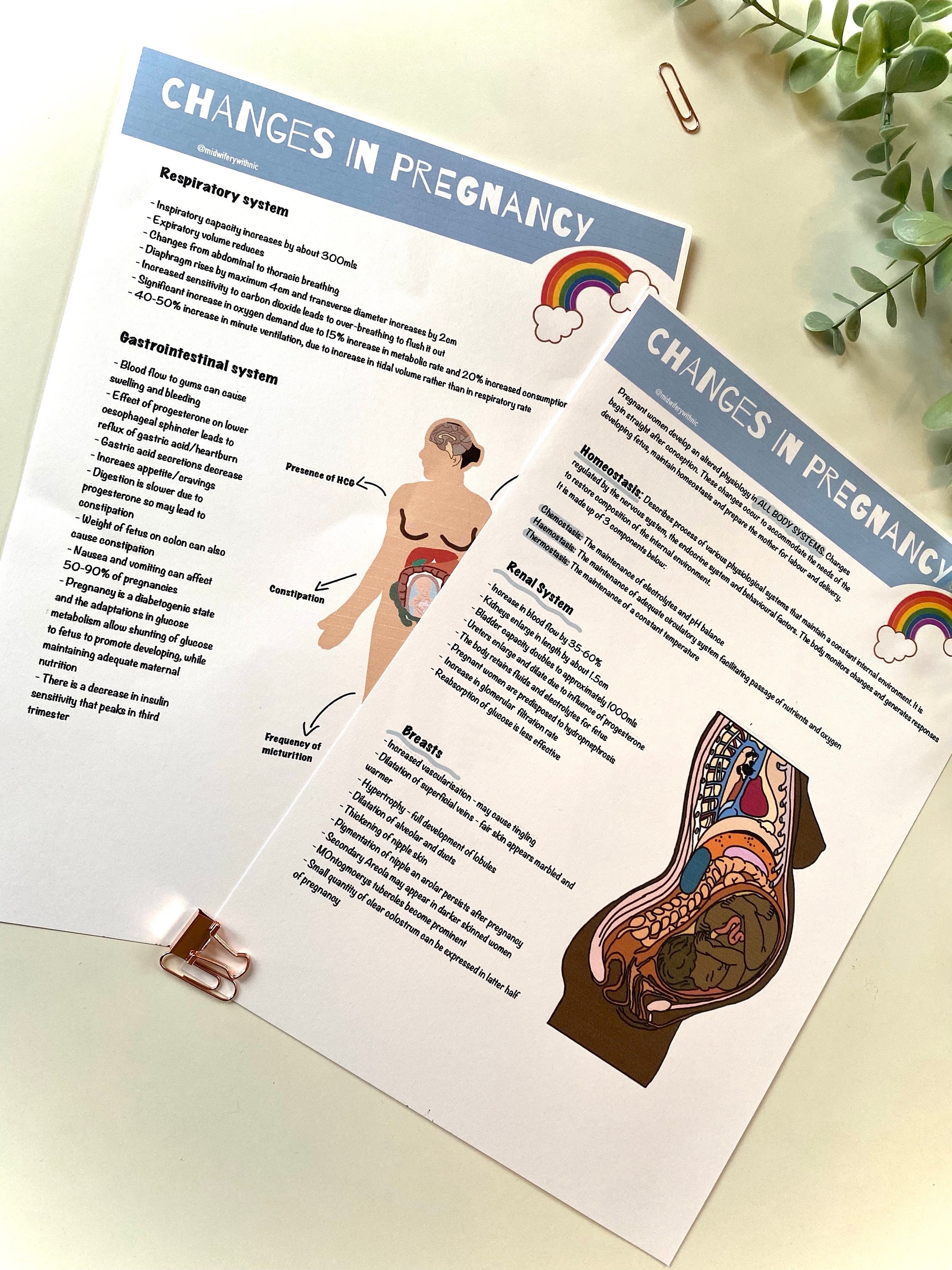 Pregnancy Posters Anatomy Student Midwives - Etsy UK