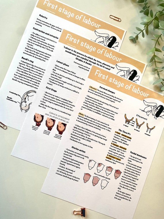 Digital Download Labour Posters Midwifery Posters Revision | Etsy