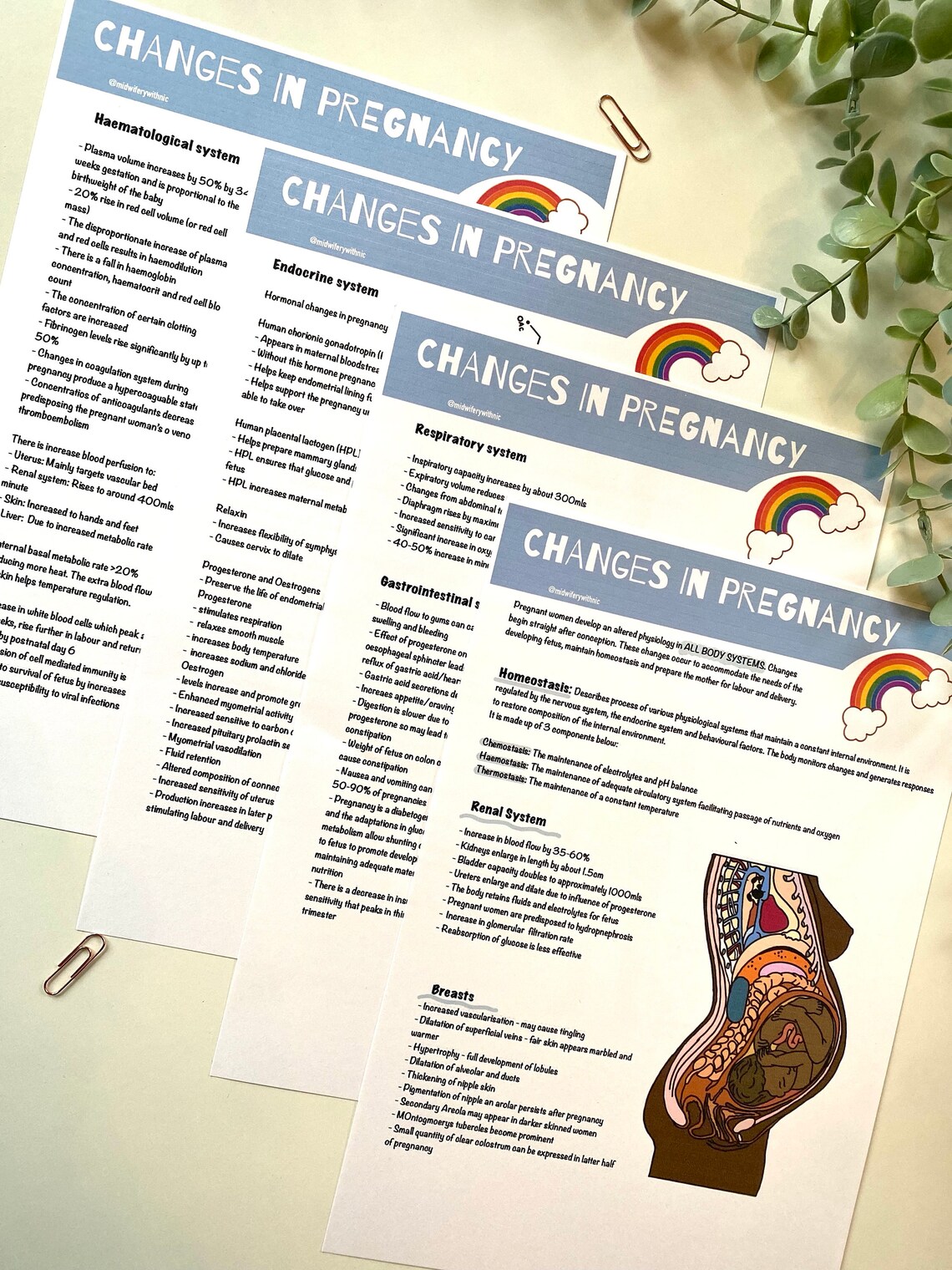 Pregnancy Anatomy & Physiology Posters for Midwifery Students (digital ...