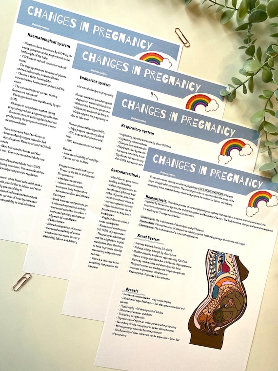 Digital Download Pregnancy Posters Midwifery Posters Student | Etsy