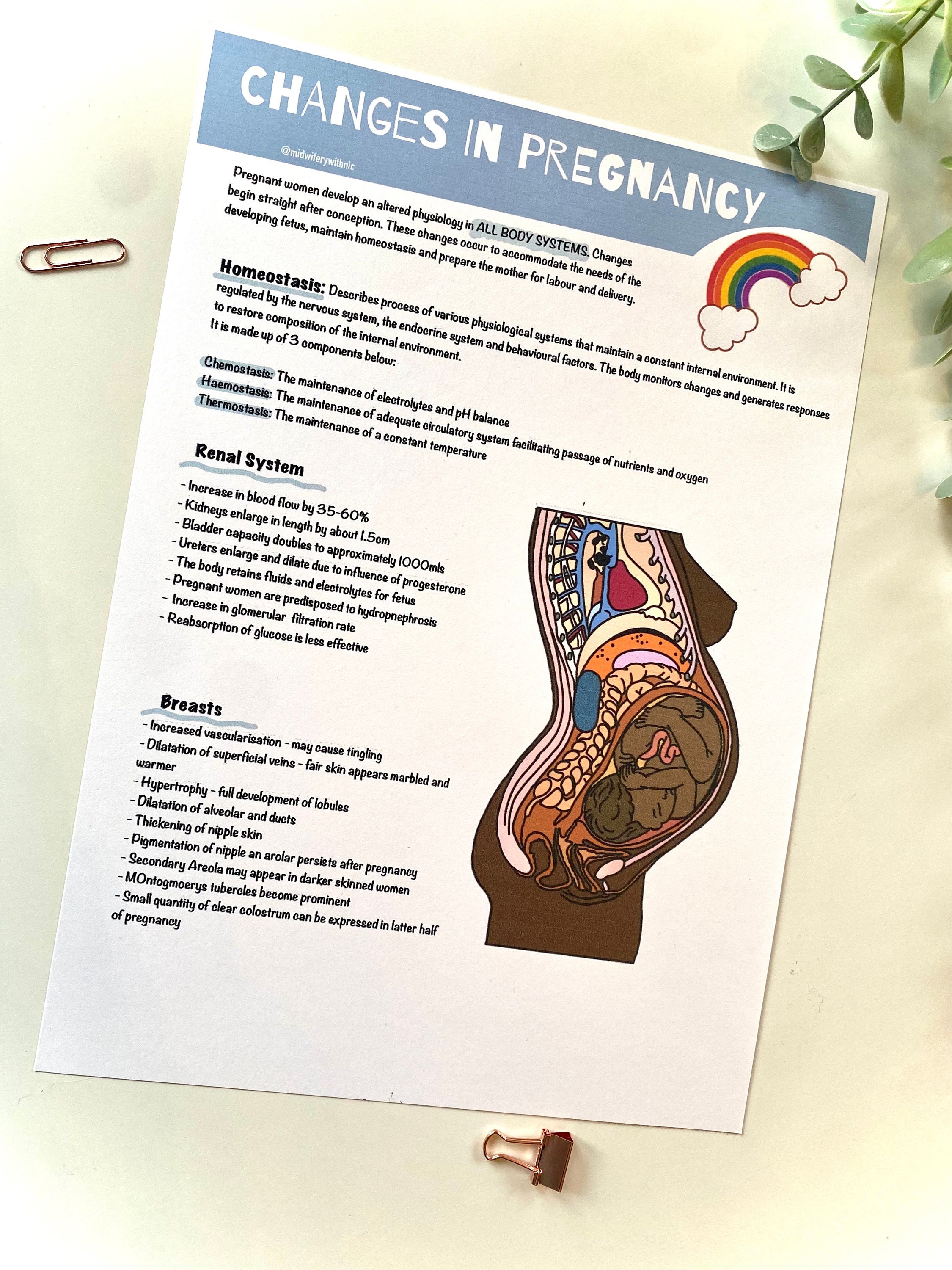 Pregnancy Posters Anatomy Student Midwives - Etsy UK