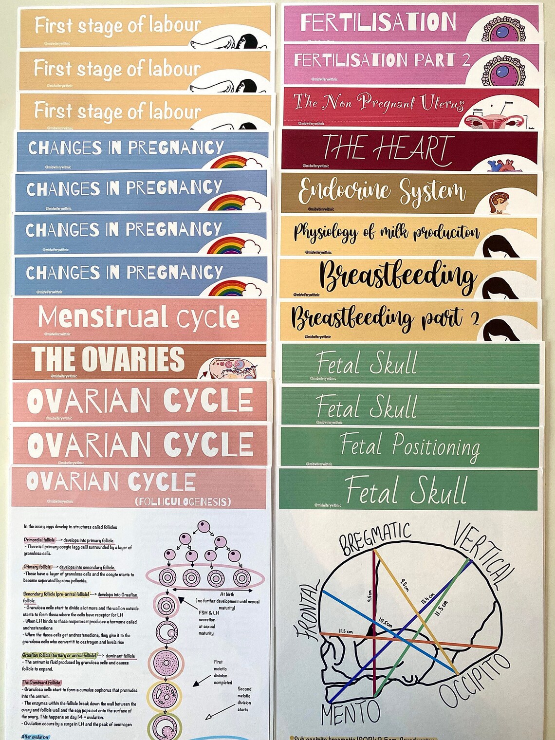 24 Anatomy & Midwifery Posters Full Collection (digital Download) - Etsy