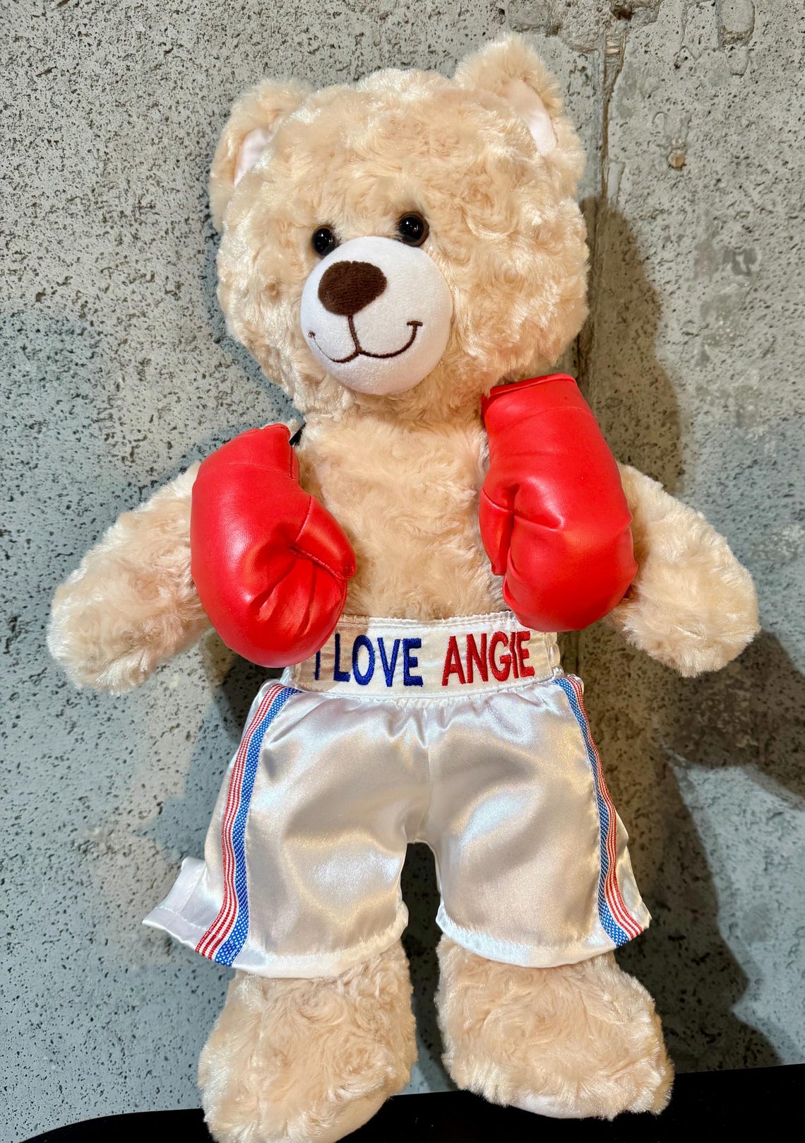 Build-a-bear Personalized Boxing Shorts and Gloves. Bear is Not ...