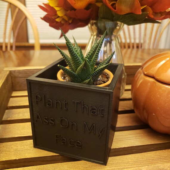 Outdoor & Gardening Funny dirty planter Indoor Planters Home & Living ...