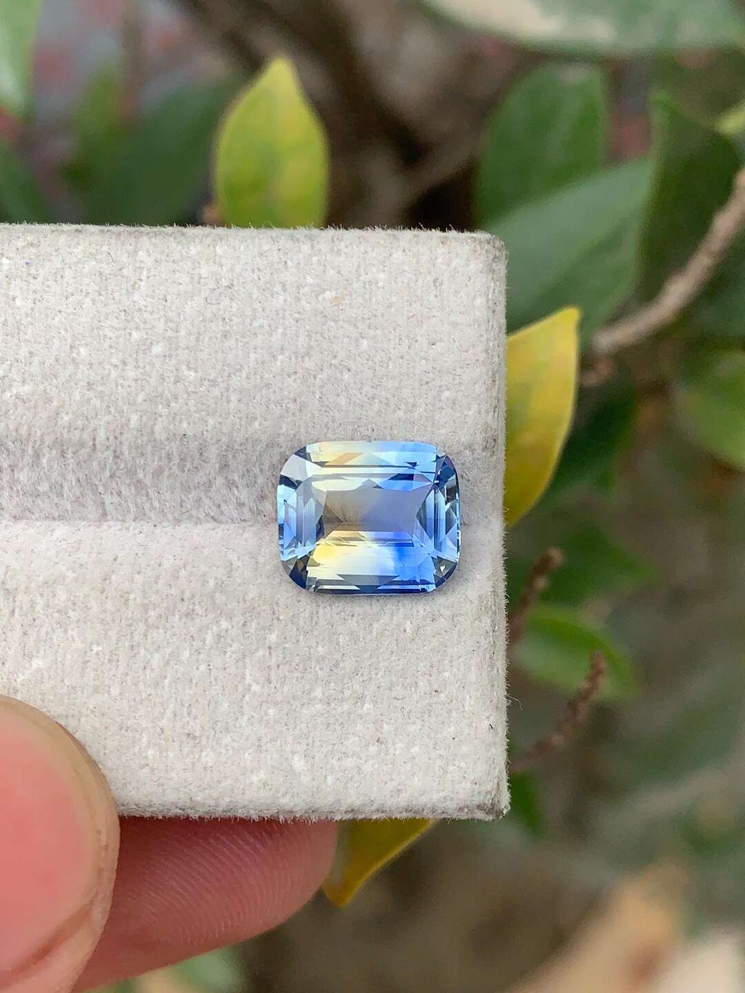 3 Carat No Heat Bi Color Ceylon Sapphire, Cushion Cut Blue & Green ...