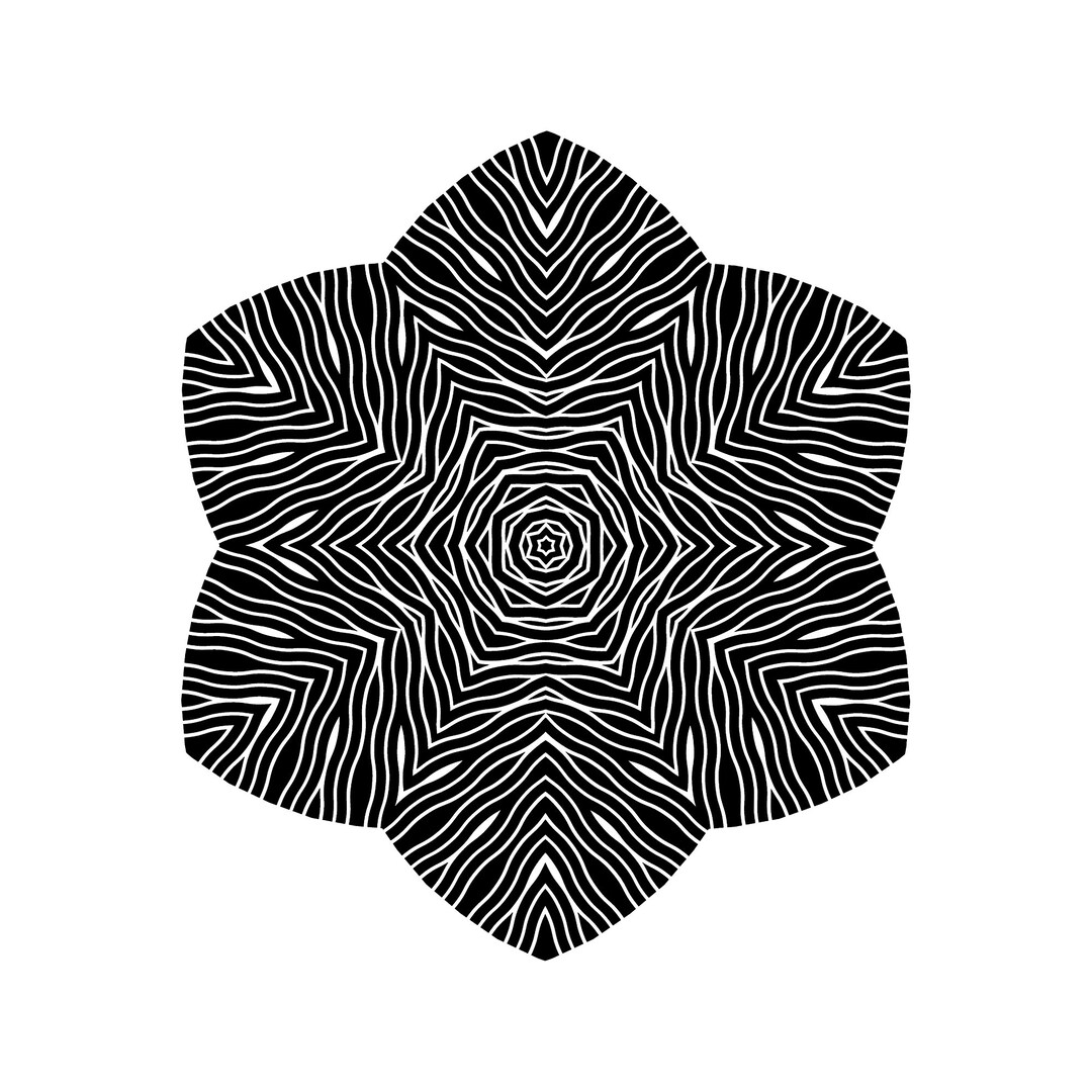 Zebra Floral Print Set in Black and White, Decorative Flower in Bloom ...