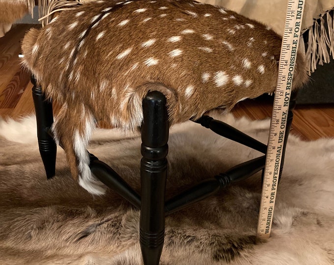 Axis Hide Stool beautiful Hide Includes the Tail Amazing Colors Vintage ...