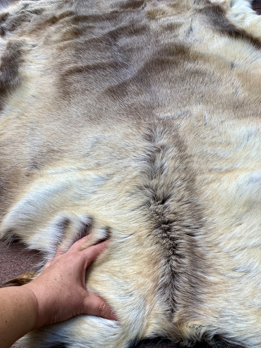 Beautiful Caribou Hide 55 X 50 Beautiful Contrasting Colors Thick ...