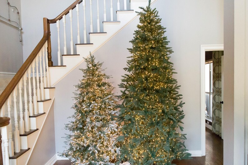 Connectable CLUSTER Garland 49.5' Green Wire 1,500 Warm White LED ...