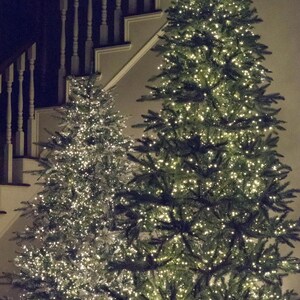Connectable CLUSTER Garland 49.5' Green Wire 1,500 Warm White LED ...