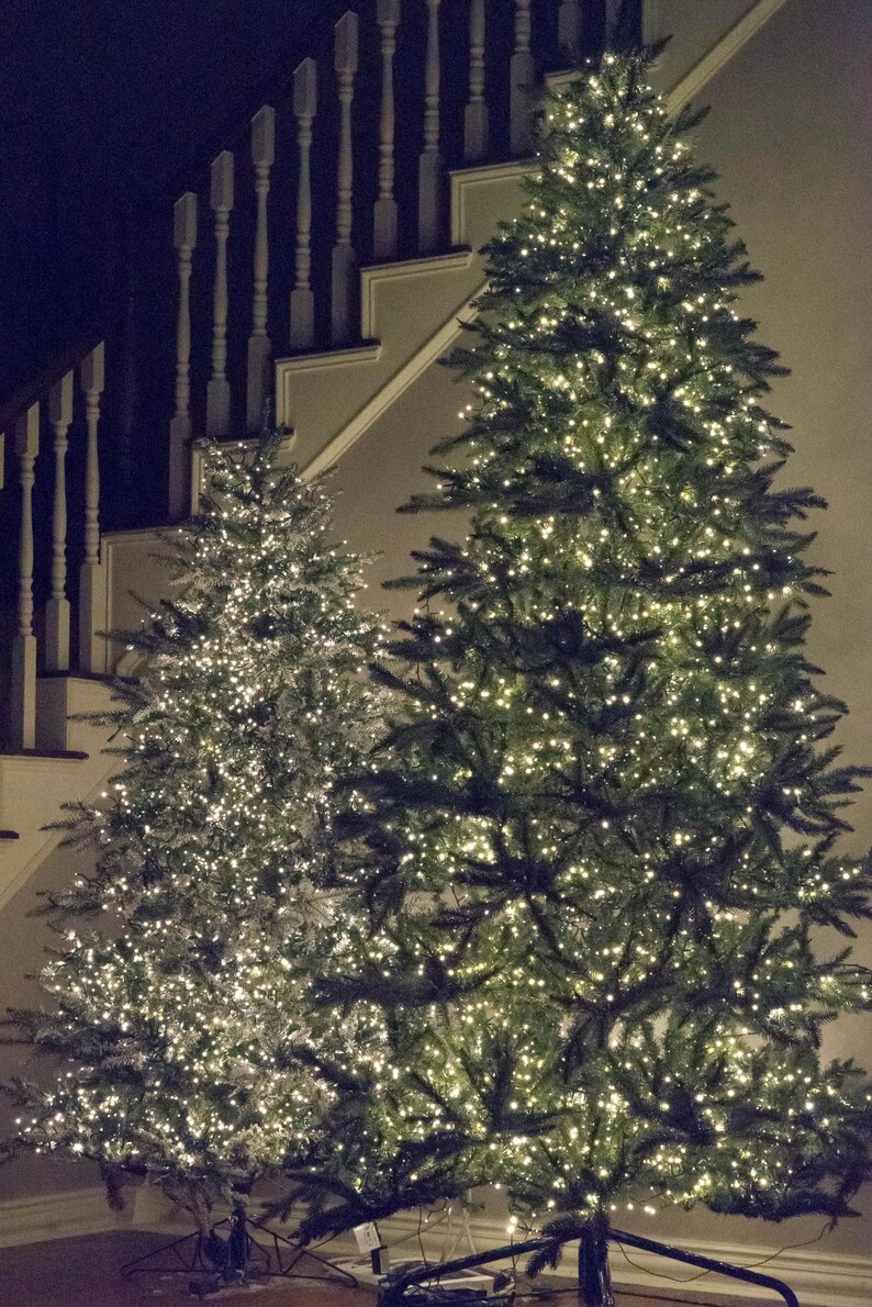 Connectable CLUSTER Garland 49.5' Green Wire 1,500 Warm White LED ...