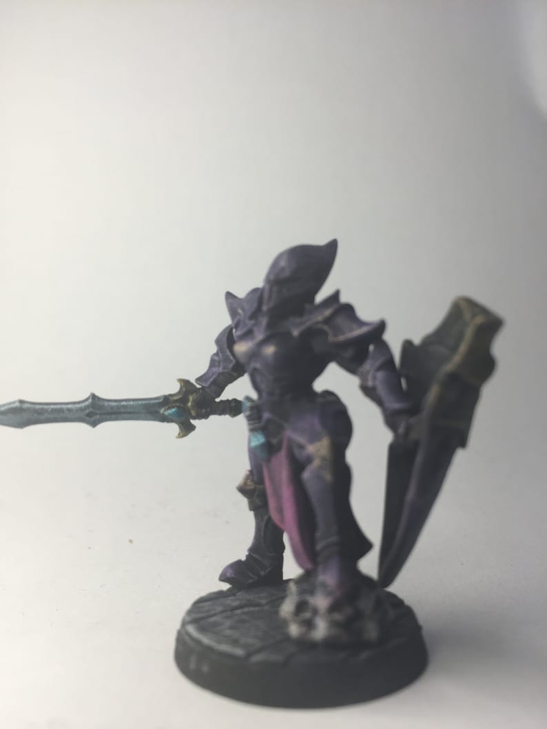 Female Dark Elf Warrior Fighter Sword and Shield Artisan - Etsy