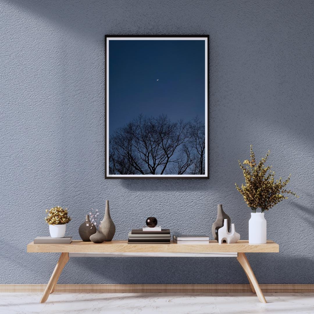 Goodnight Moon | Nature Photography Art Print for Home Decor | Night ...