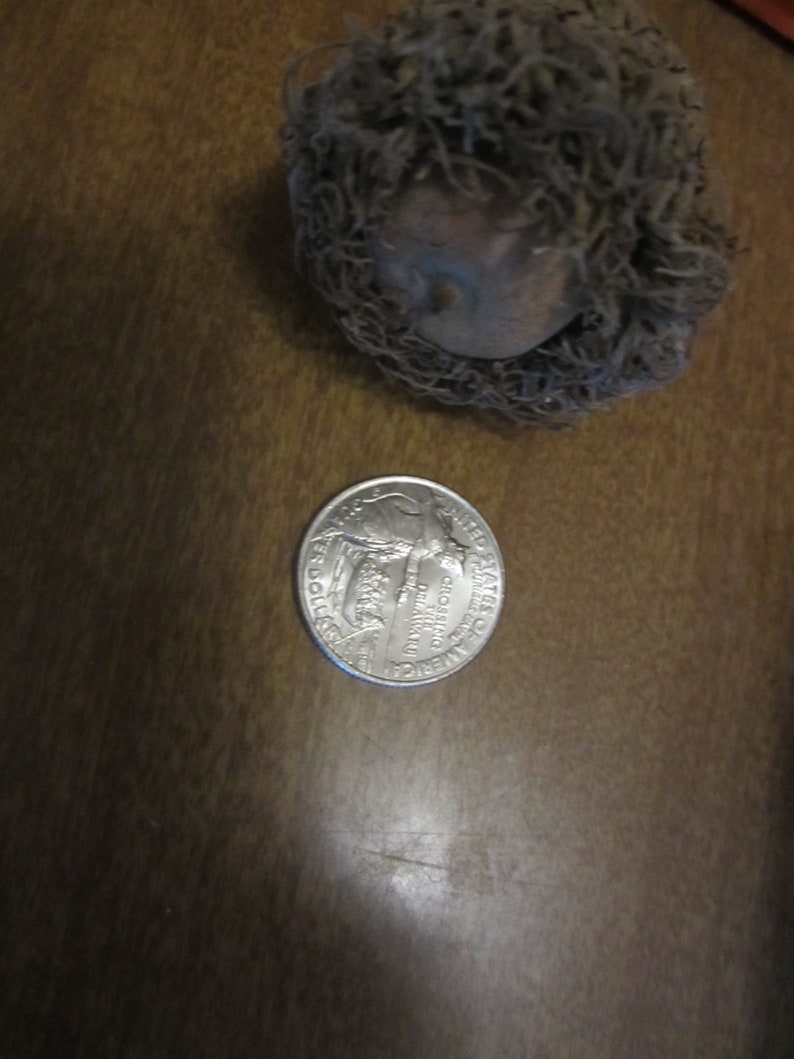 Acorns Lot of Bur Oak Burr Acorns Crafts Wedding Fall Table Farm Autumn ...