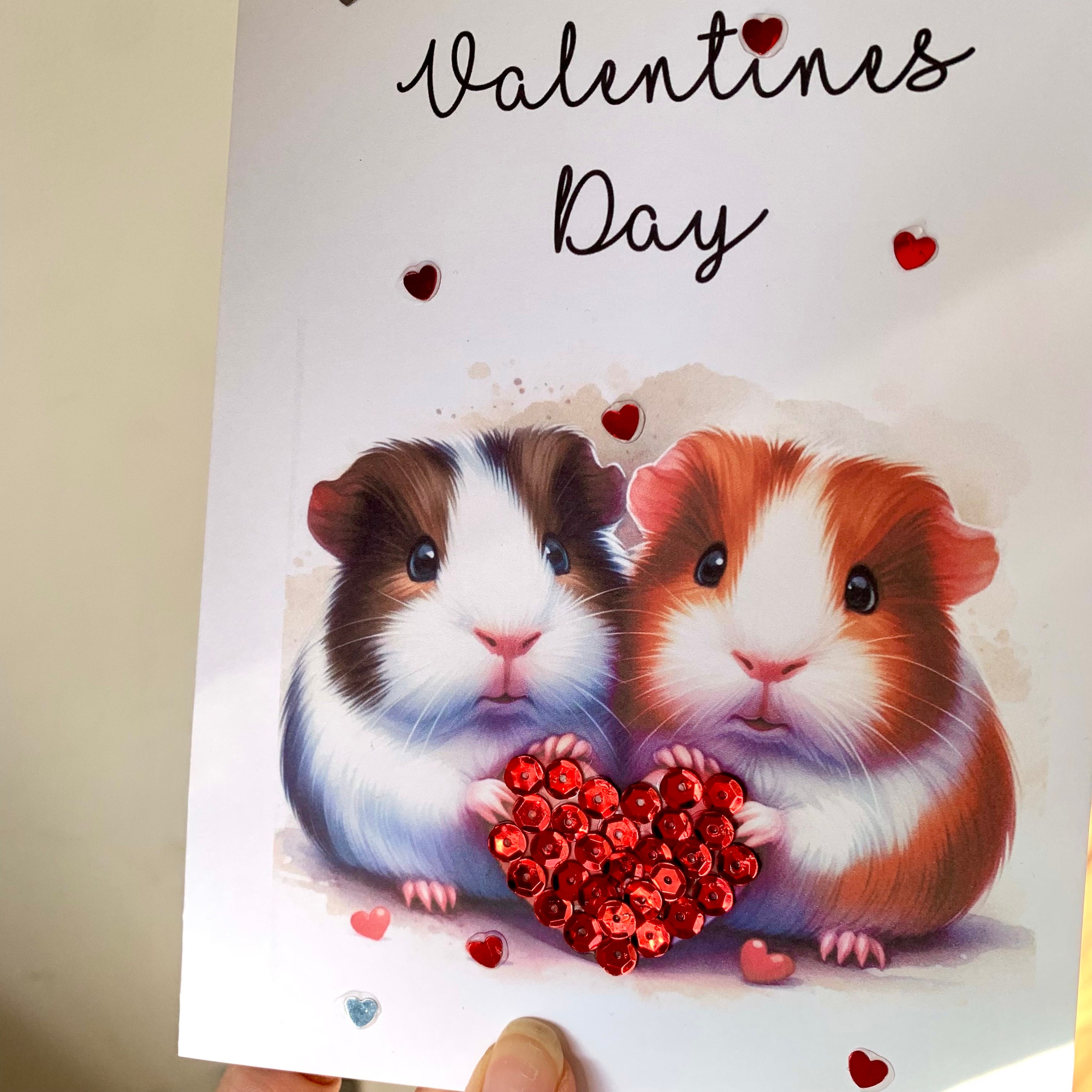 Valentine Guinea Pig Page 2 | Cute Valentine Animals Photos Download