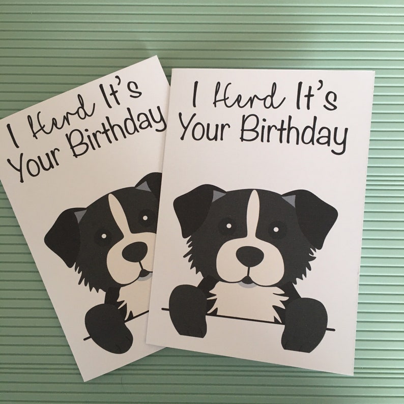 Border Collie Birthday Card: Dog Lover Greetings - Etsy