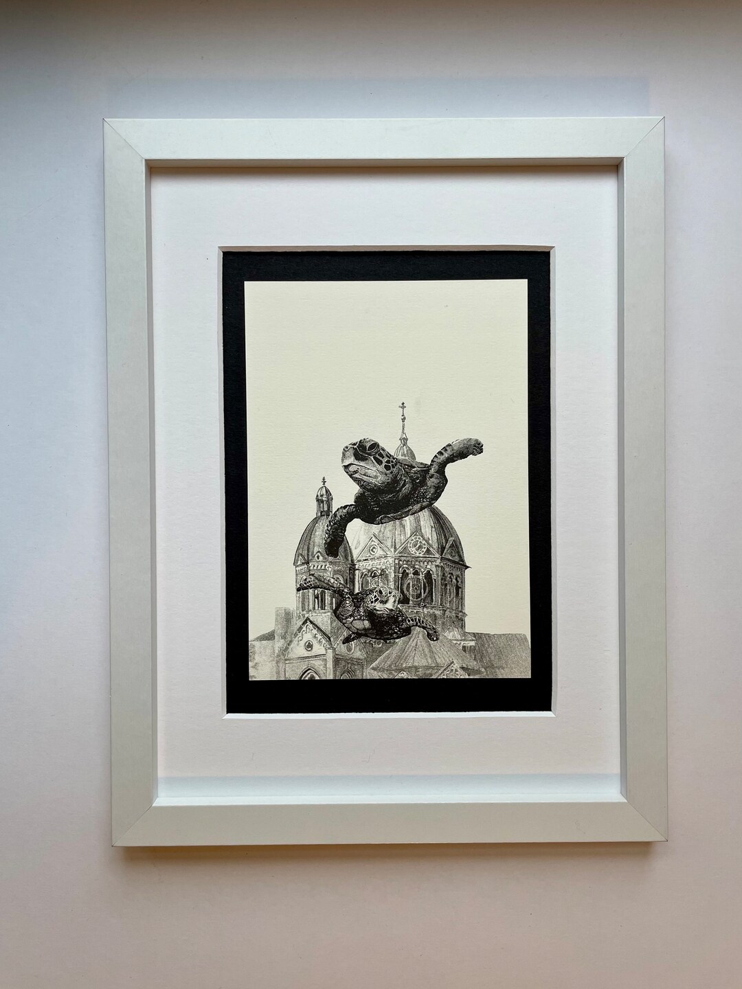 Munich Turtles 13x18 Art Print Skt Lukas - Etsy